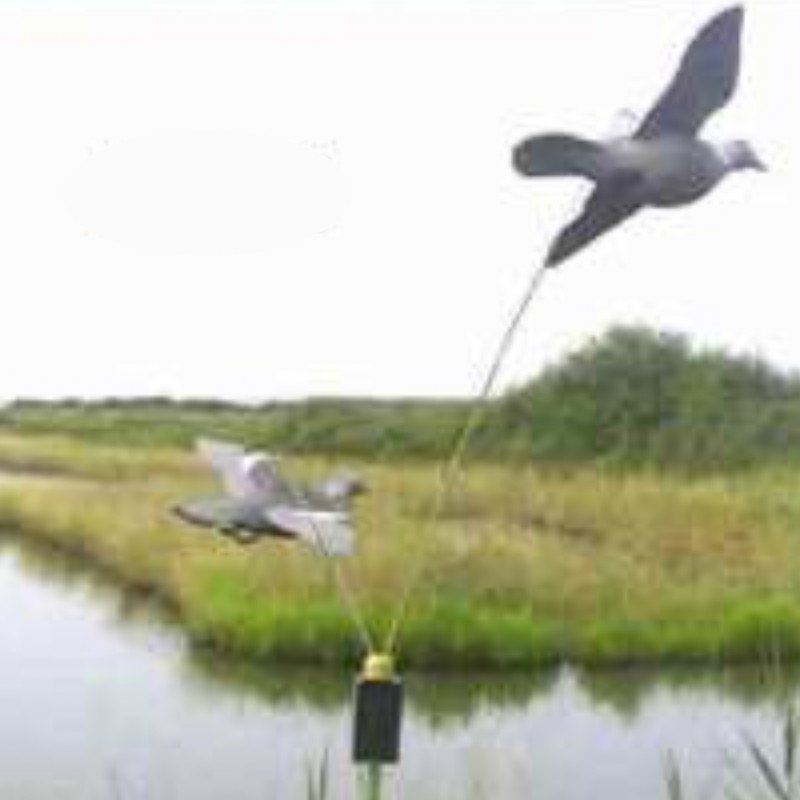 Carrousel - Materiel pour la chasse aux pigeons ramiers